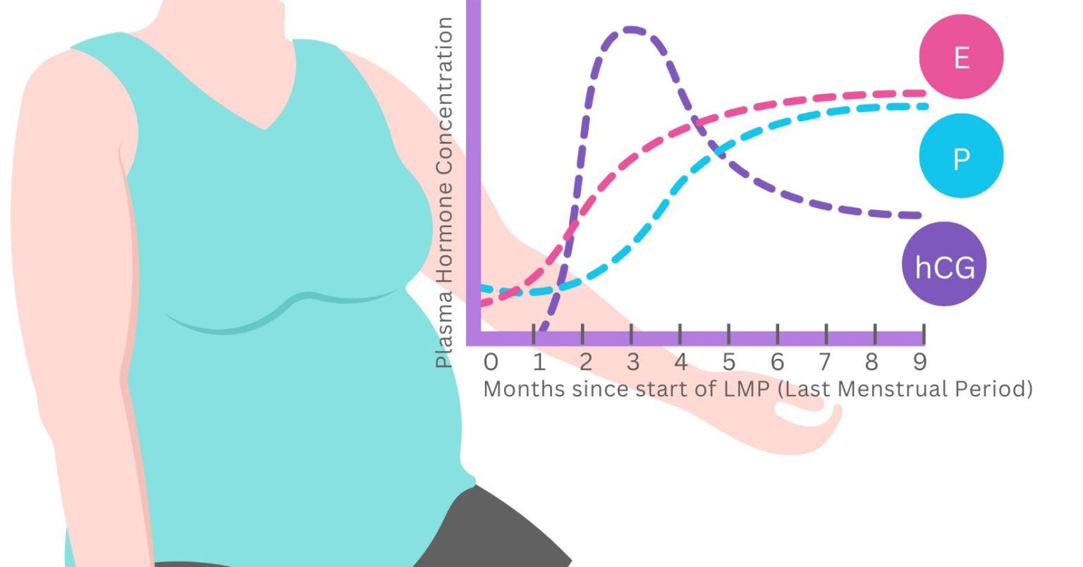 Pregnancy Emotions: Exploring the Mood Changes During Pregnancy - Bump ...
