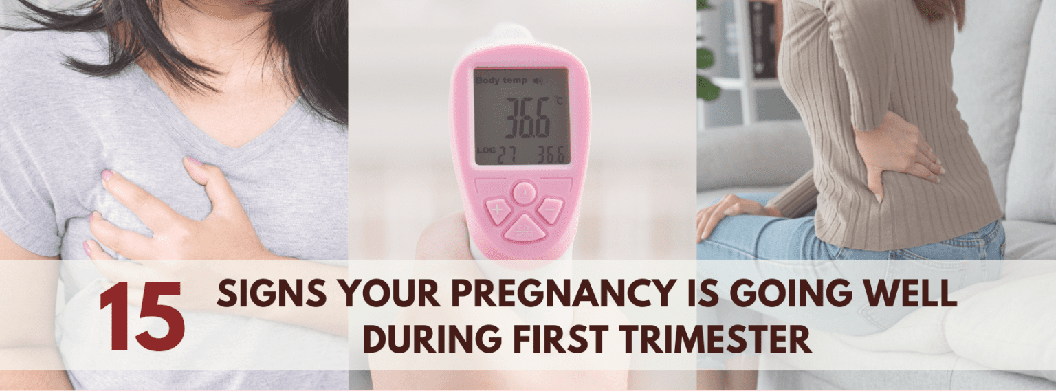 15 Signs Your Pregnancy is Going Well During First Trimester - Bump ...
